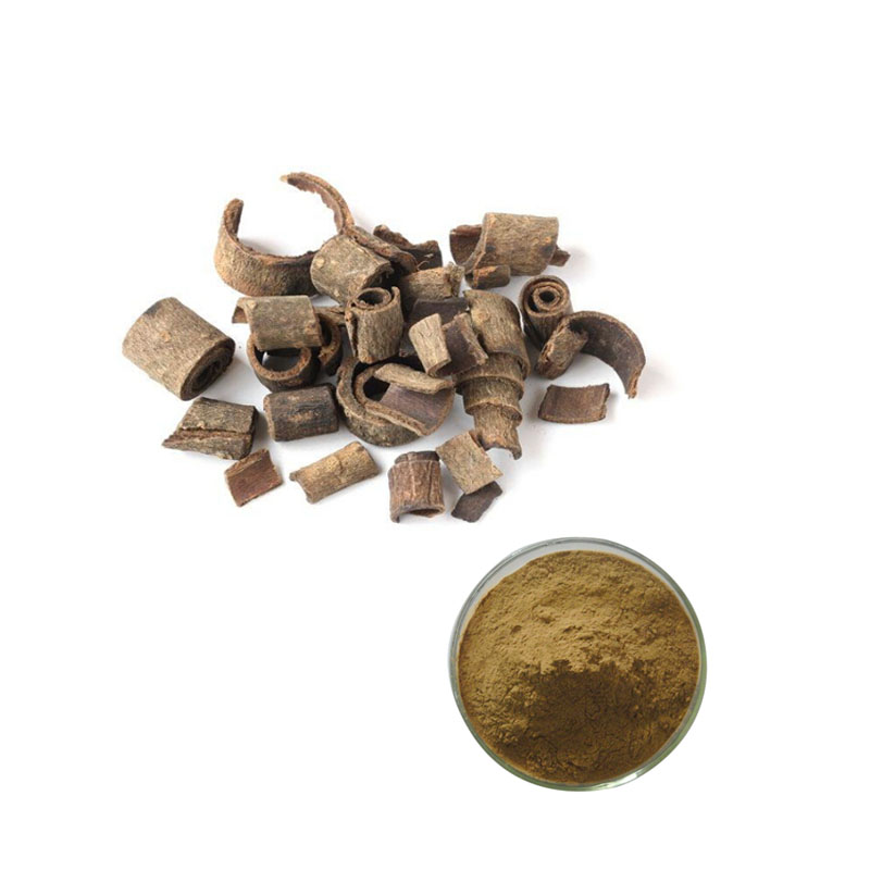 Wholesale Cortex Magnolia Officinalis Bark Extract Bulk/Supplier ...